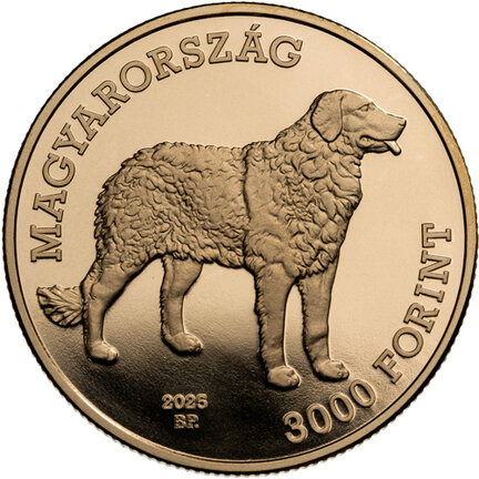 Numismatika - mince | Kupte na Nunofi.cz